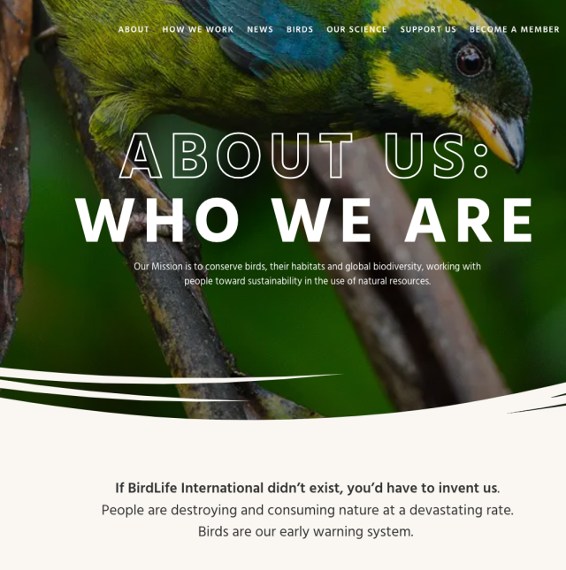 BirdLife International | Circle for Nature