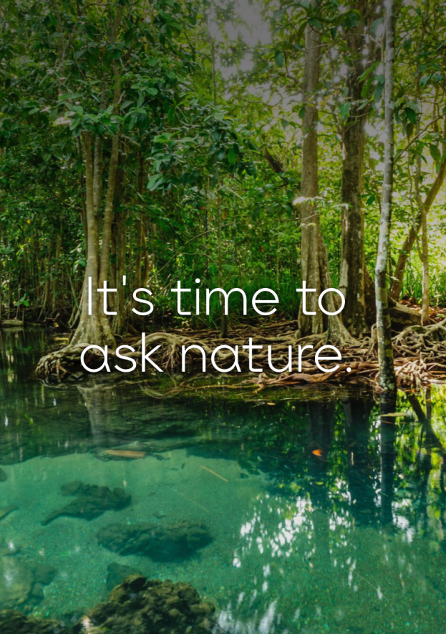 ask nature | Circle for Nature